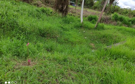 Lote – Vector Global Estate